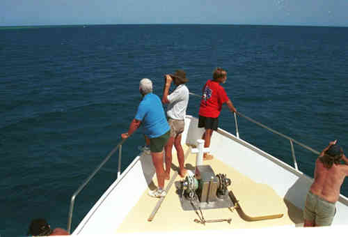 Sydney Sheller Single Issue